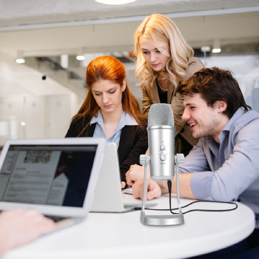 New Condenser Dubbing Microphone – Raw-RoyaltyAmbitiousWiseVantiques©️